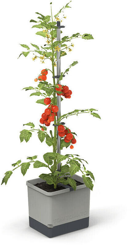 Gusta Garden Tom Tomato hellgrau (100610) Pflanzkübel