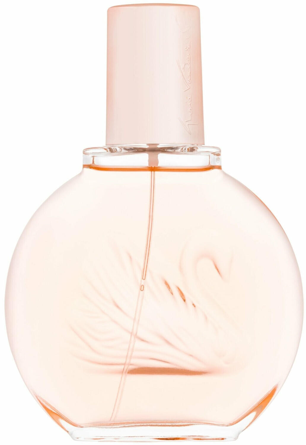 Gloria Vanderbilt Miss Vanderbilt Eau de Toilette (100ml) Test - ab 8 ...