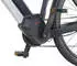 Prophete Entdecker 5.0 Trekking E-Bike 28 Zoll - 630 Wh - Integrierter Akku - Mittelmotor - 10 ...