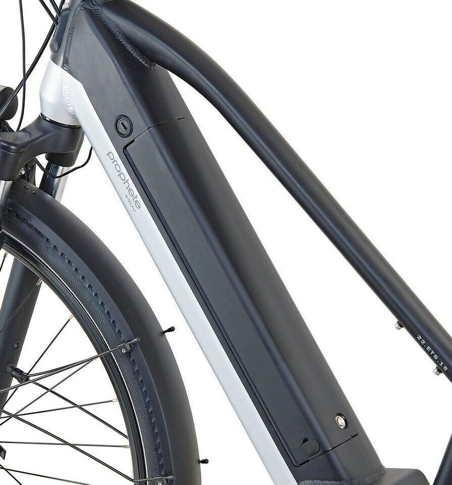 Prophete Entdecker 5.0 Trekking E-Bike 28 Zoll - 630 Wh - Integrierter Akku - Mittelmotor - 10 ...
