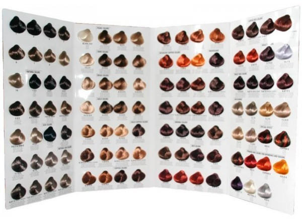 Goldwell Topchic Color Erfahrungen auf Testbericht.de