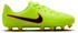 Nike Jr. Tiempo Legend 10 Club MG (DV4352) Erfahrungen: 9 Bewertungen