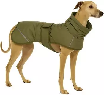 Flamingo Wintermantel Cujo grün Rückenlänge: 50 cm Hundemantel ab 33,88€