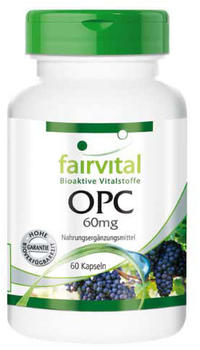 Fairvital Nahrungsergänzungsmittel Test 2026 · 53 Produkte