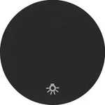 Berker Wippe sw/gl 1(6202035) Black Friday Deals - ab 6,02