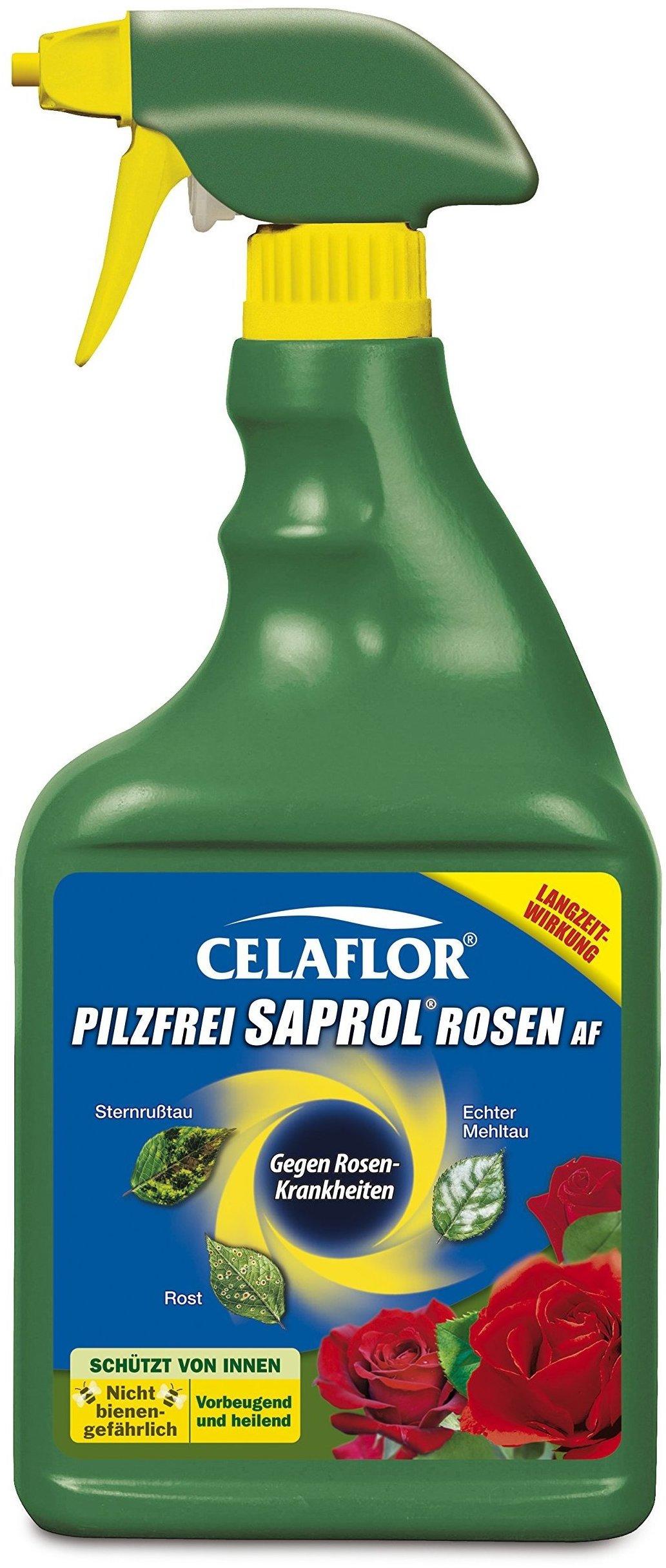 Celaflor Rosen-Pilzfrei Saprol AF 750 ml Erfahrungen auf Testbericht.de