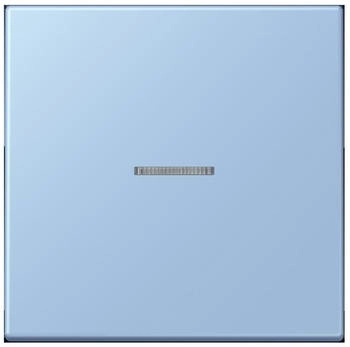 Jung HOME Taster 1fach LC32122 (BTLC17101237) Black Friday Deals - ab ...