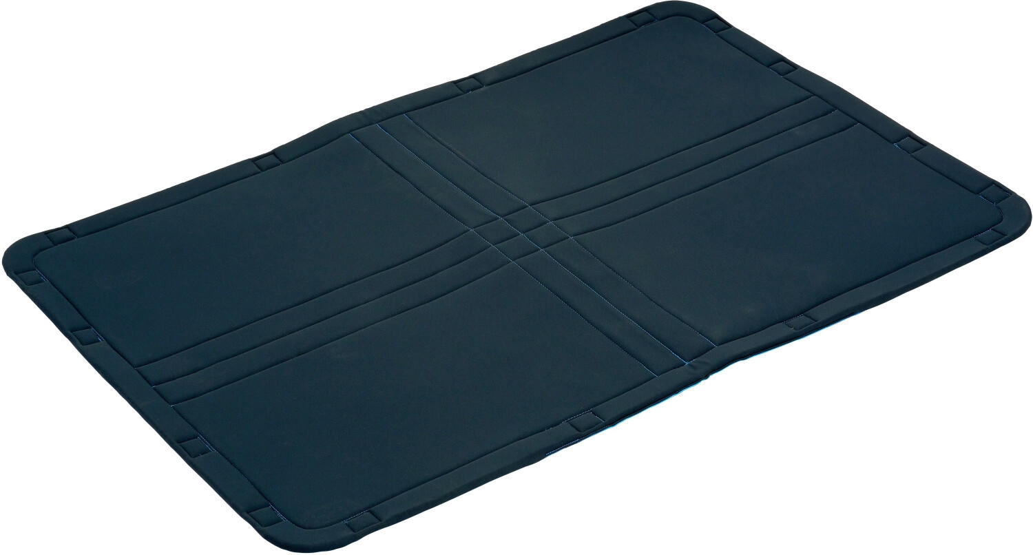 Sport-Thieme Beam Auflagematte Gymnastikmatte ab 239,99€
