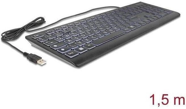 DeLOCK USB Tastatur kabelgebunden 1,5 m schwarz mit XXL Bstb